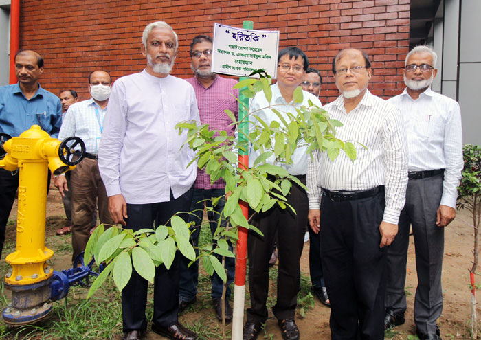 Tree Plantation – Grameen Bank